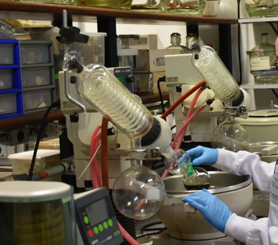 Laboratório de Plantas Medicinais e Derivados (LPMD)